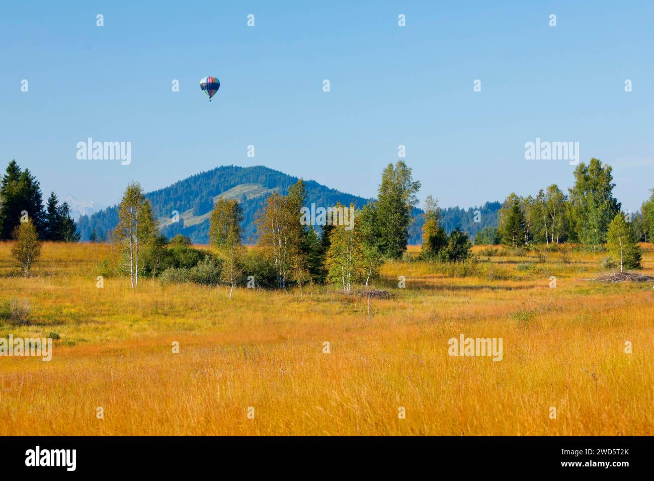 High moor rothenthurm hi-res stock photography and images - Alamy