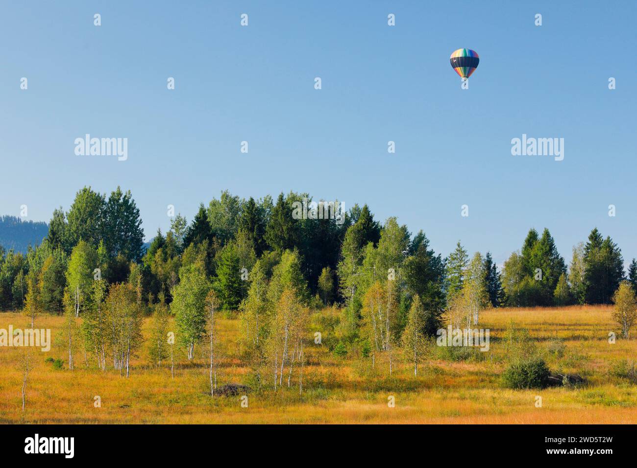 High moor rothenthurm hi-res stock photography and images - Alamy