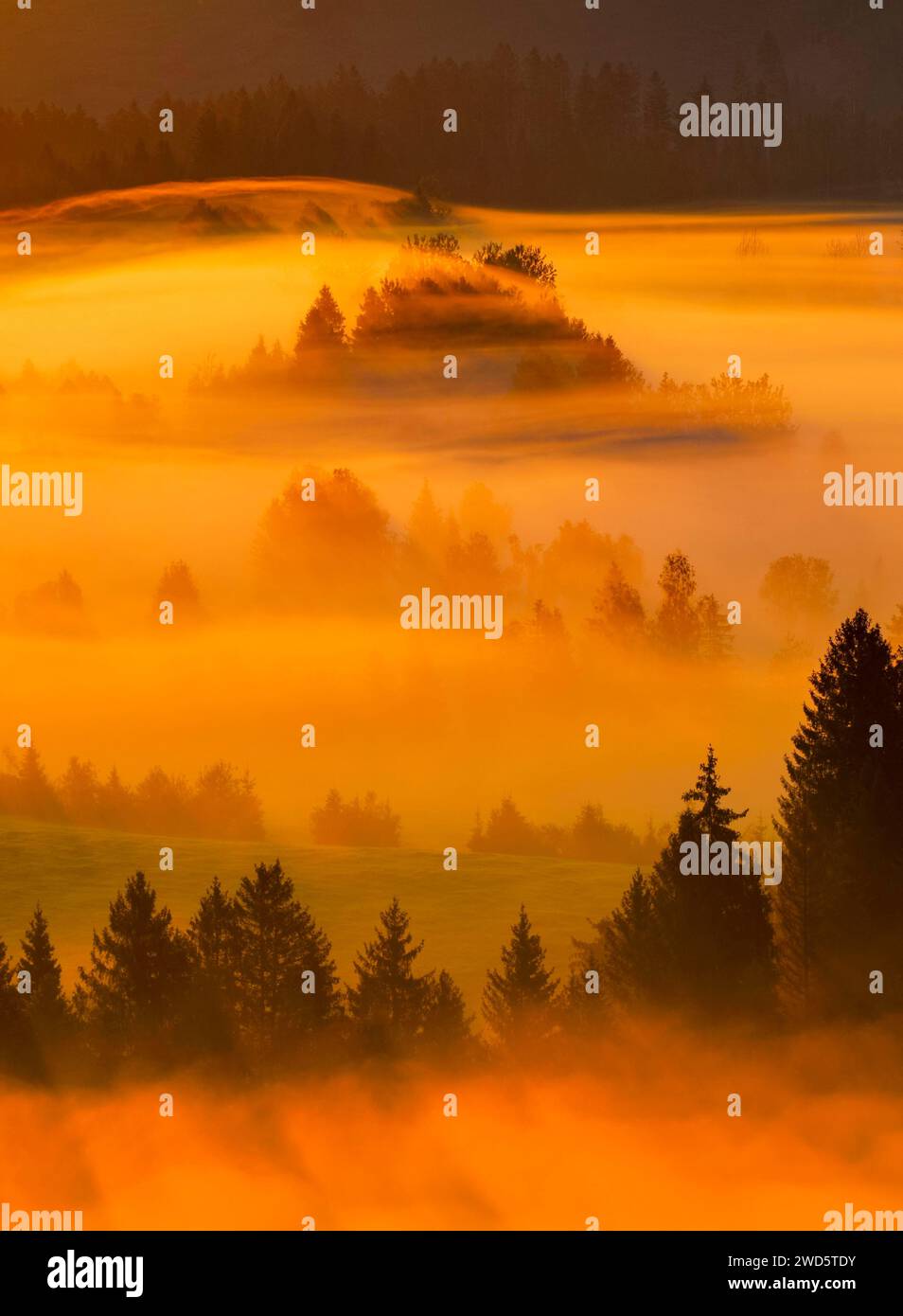 High moor rothenthurm hi-res stock photography and images - Alamy