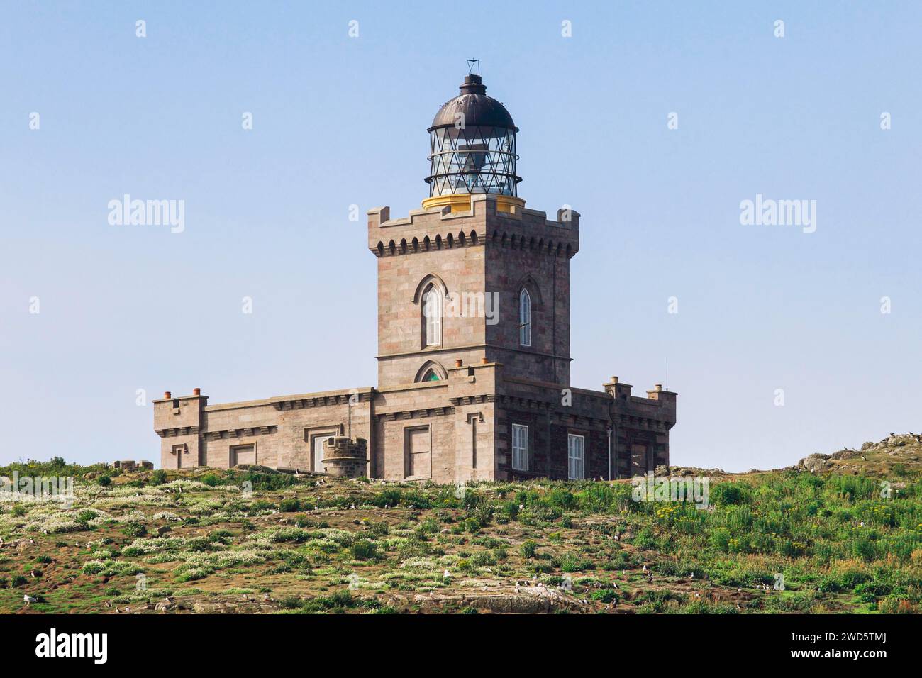 Luminous tower on the Isle of May, Scotland, Great Britain Stock Photo ...