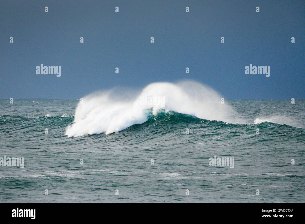 Large waves breaking on open water of the North Sea off the coast of ...