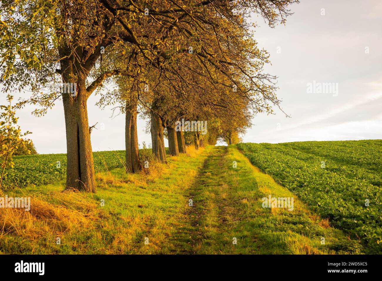 Academy for nature conservation and landscape conservation hi-res stock ...