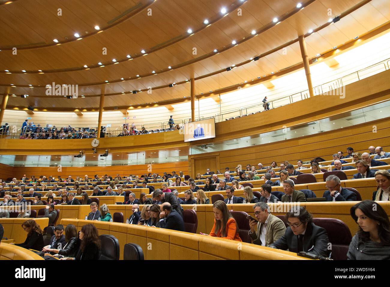 Madrid, Spanien. 18th Jan, 2024. Madrid Spain; 01/18/2024.- Pedro ...