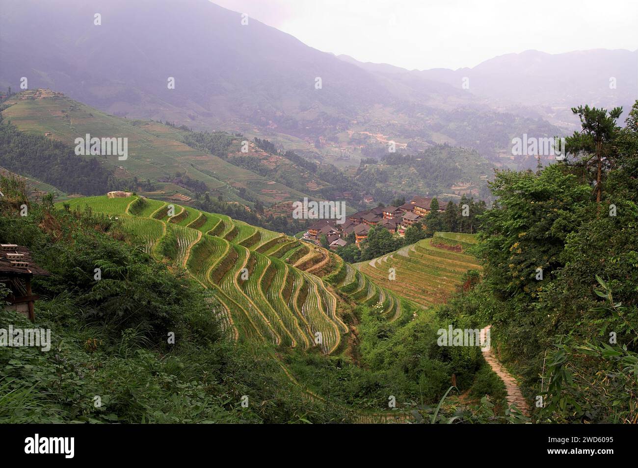 Agricultura en terrazas hi-res stock photography and images - Alamy