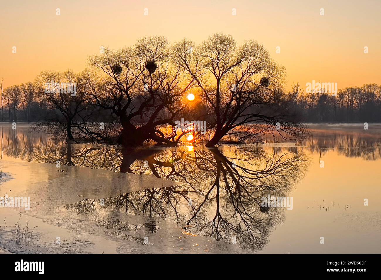 Flood, flood protection, flood plain, pasture, dike protection, dike on ...