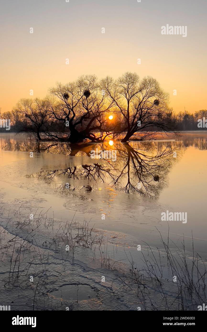 Flood, flood protection, flood plain, pasture, dike protection, dike on ...
