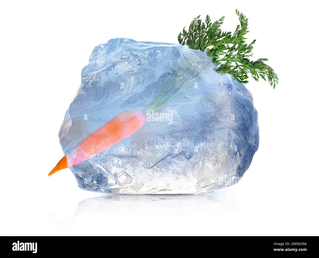 Frozen food. Raw carrot in ice cube isolated on white Stock Photo - Alamy