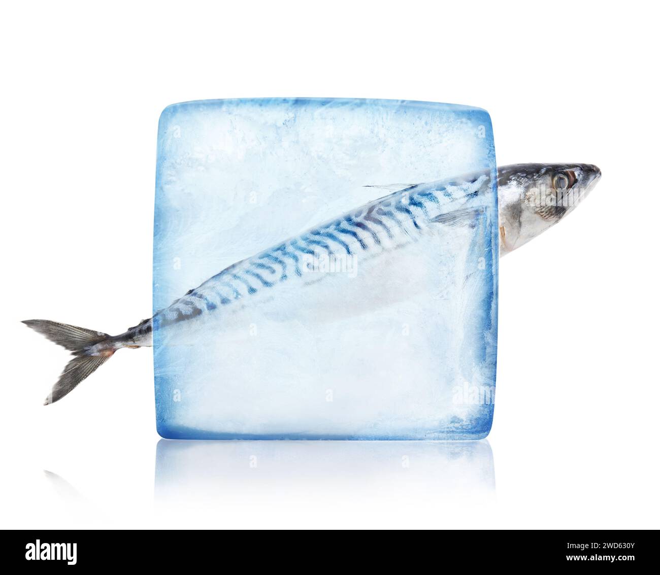 Frozen food. Raw mackerel in ice cube isolated on white Stock Photo - Alamy