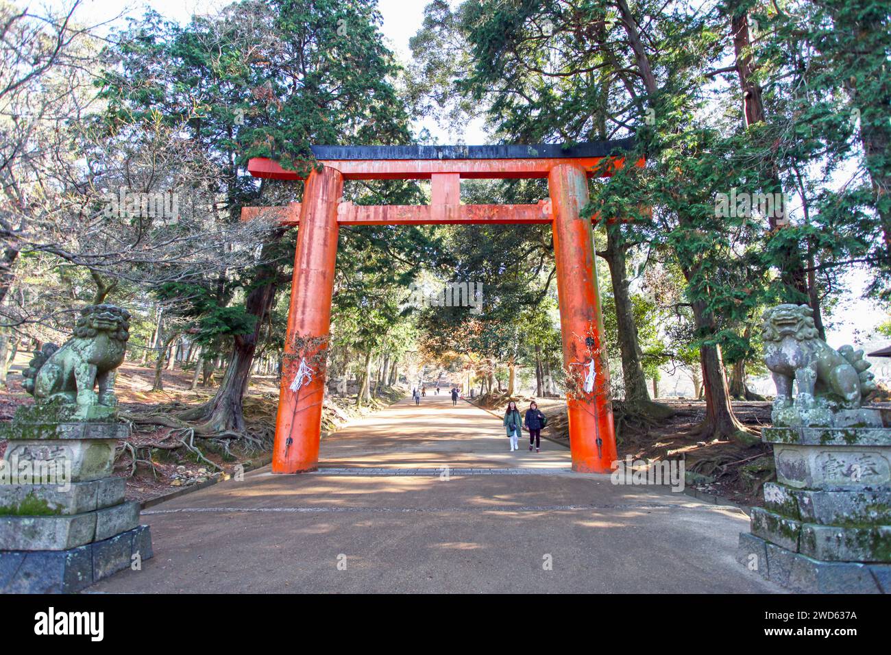 Torii Gate at Todai-ji Temple in Nara Park, Nara, Japan Stock Photo - Alamy