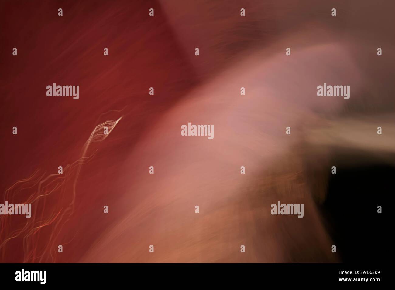 Beautiful abstract icm photography, long exposure art for fine art ...