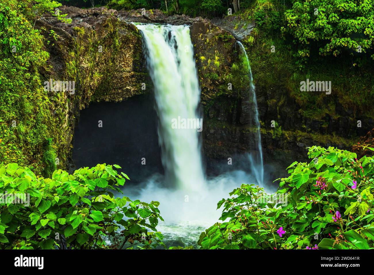 Rainbow Falls and plungepool on the Wailuku River in Hilo, Hawaii Stock Photo - Alamy