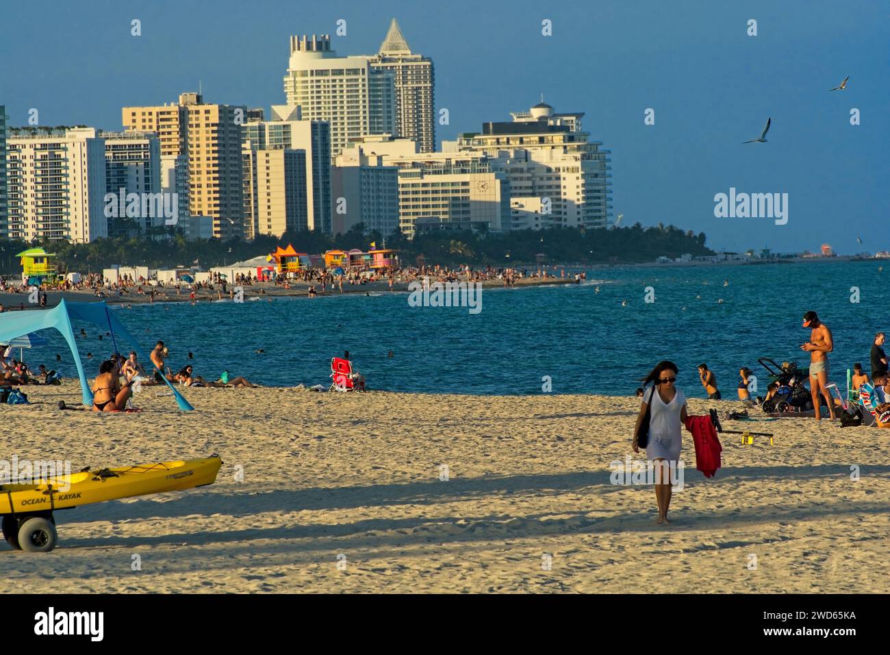 South Pointe Beach with distant view of Lummus Park and Miami skyline ...