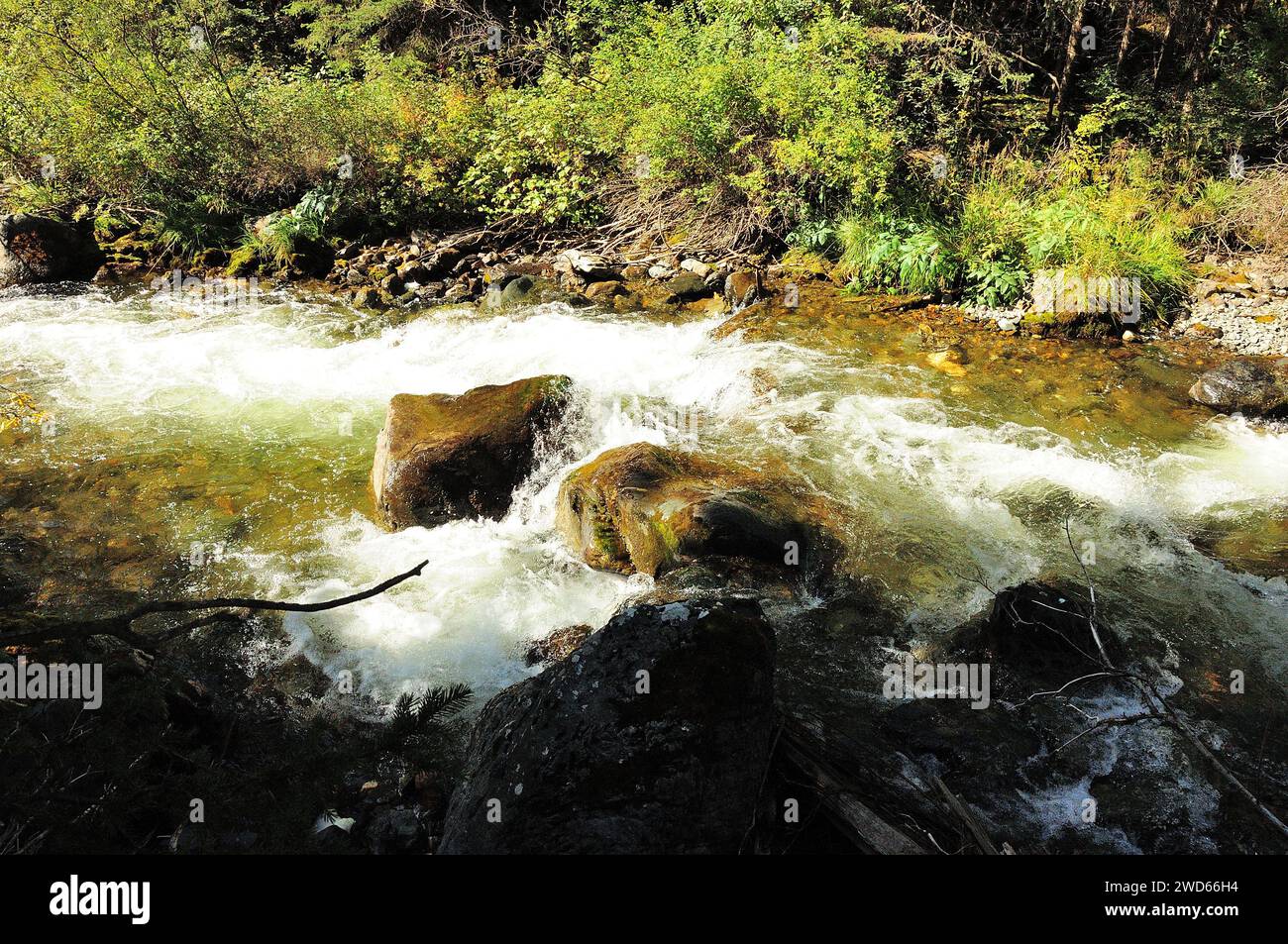 Mountain stream bends around stone hi-res stock photography and images ...