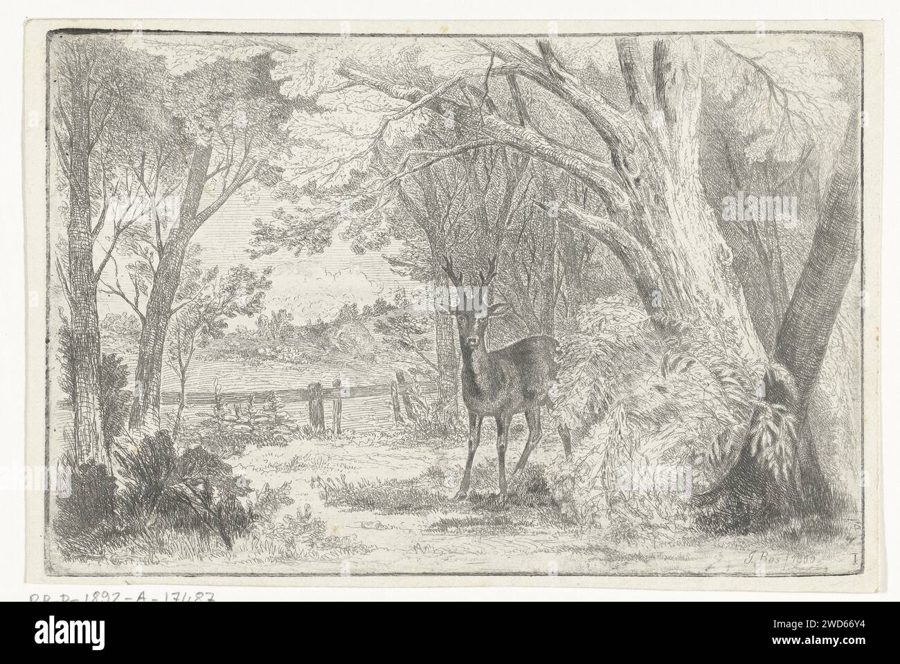 Park landscape with deer, Jan Bos Wz., 1890 print Utrecht paper etching ...