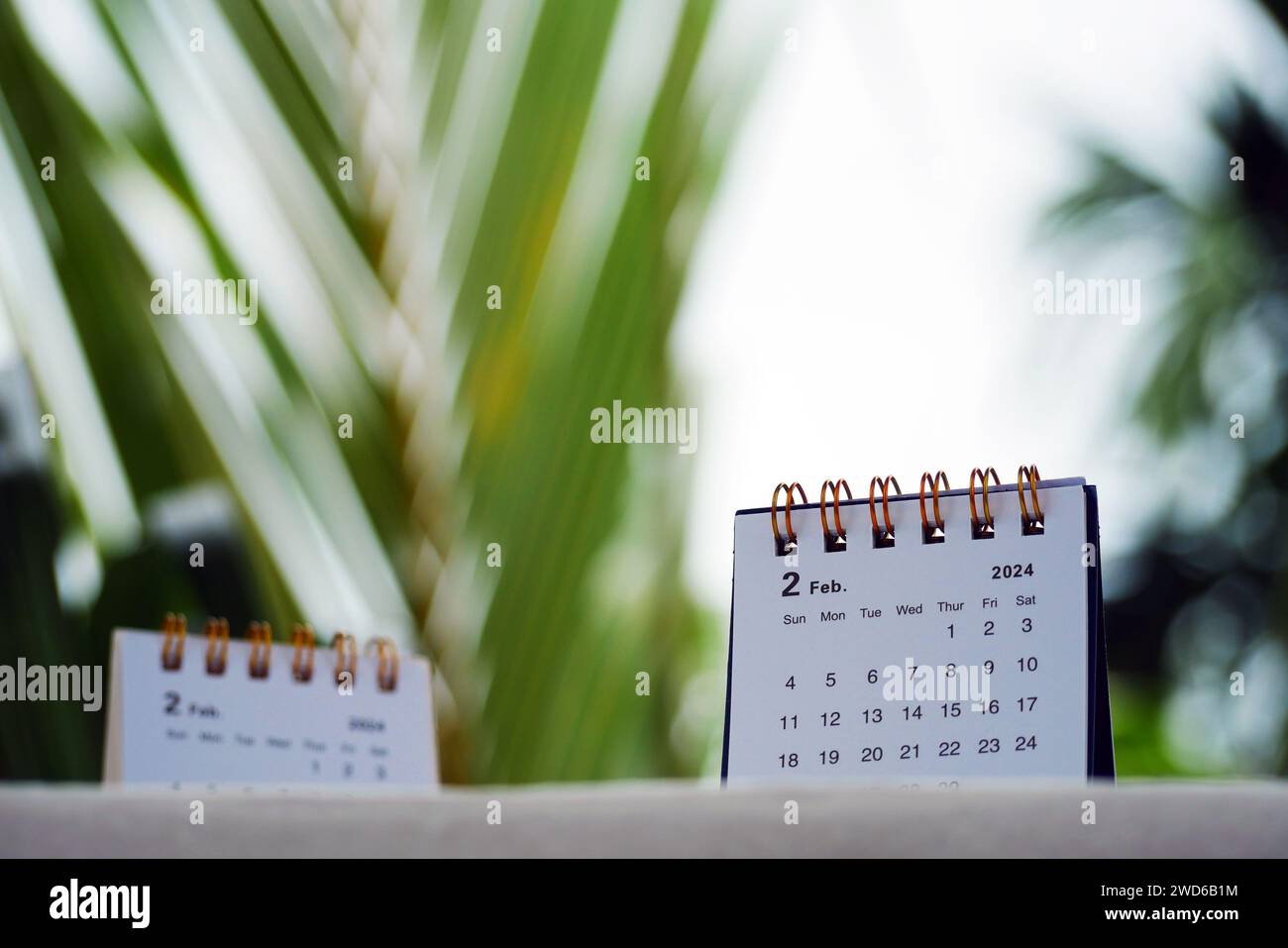 February 2024. Desk calendar for February 2024 with bokeh nature background Stock Photo - Alamy