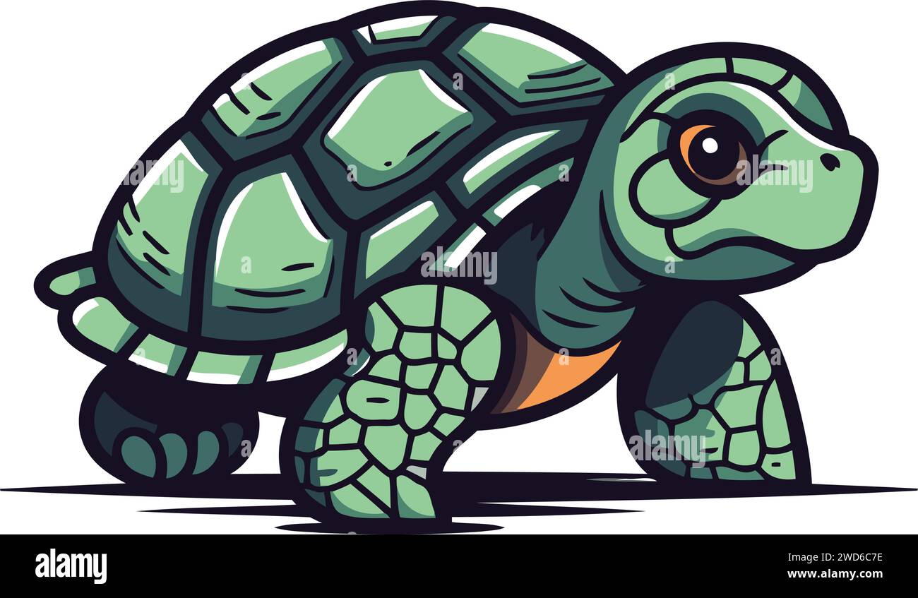 Tortoise vector illustration isolated on white background. Cartoon ...