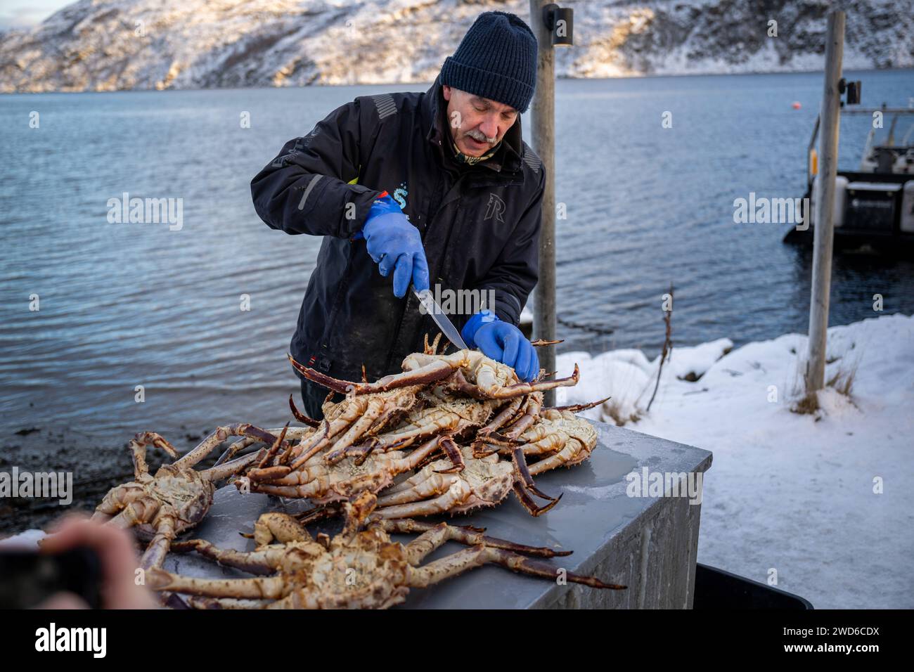 Kirkenes, Norway. 13th Jan, 2024. A fisherman cuts up a king crab near ...