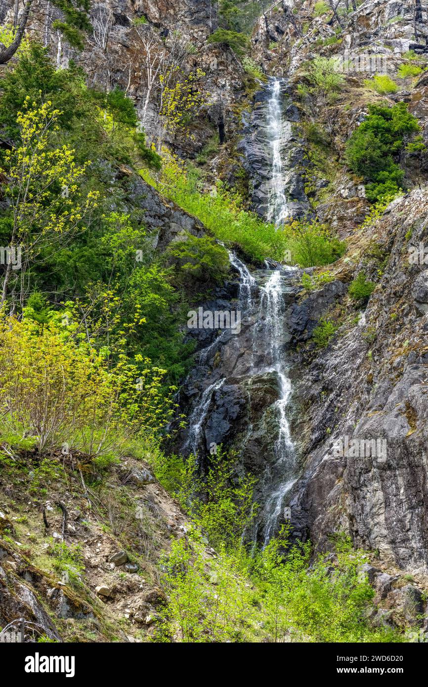 North Cascades National Park, Washington, USA. Waterfalls in springtime ...