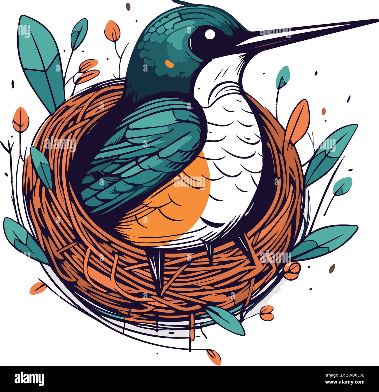 Hand drawn illustration kingfisher Stock Vector Images - Alamy