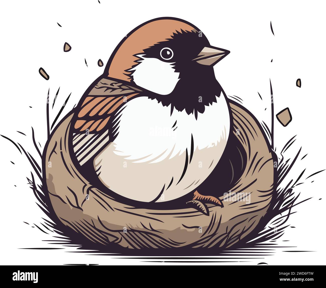 Sparrow sitting in a nest. Hand drawn vector illustration Stock Vector ...