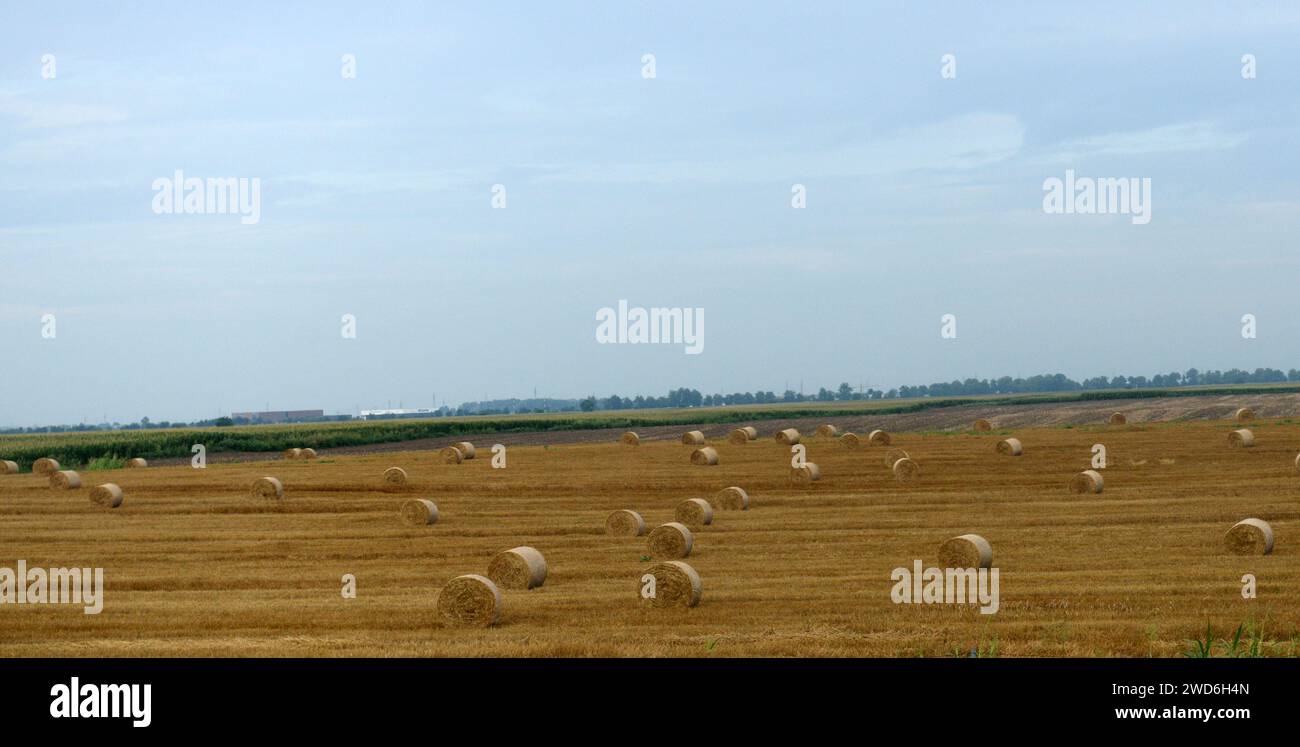 Agricultural landscapes in northern Serbia Stock Photo - Alamy