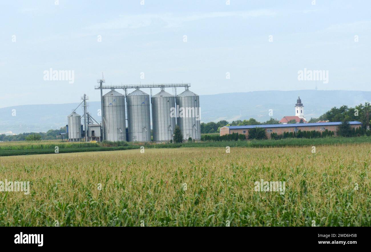 Agricultural landscapes in northern Serbia Stock Photo - Alamy