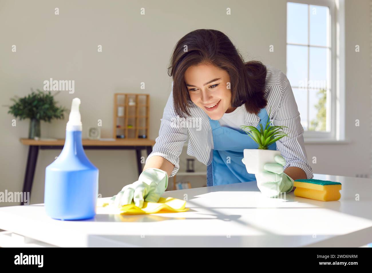 Female cleaner, happy housewife, woman polishing table top with cloths ...