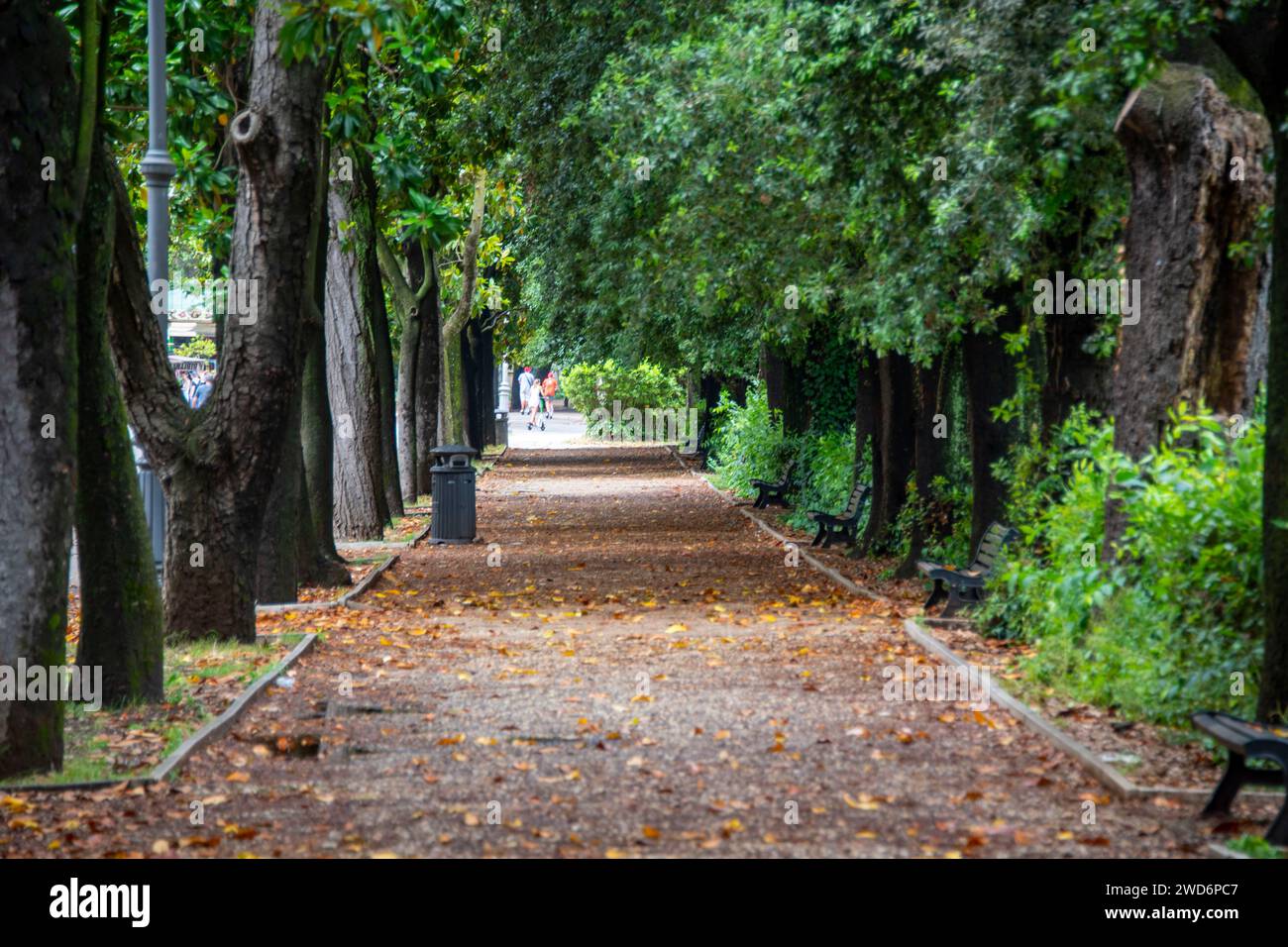 Villa borghese park rome hi-res stock photography and images - Alamy