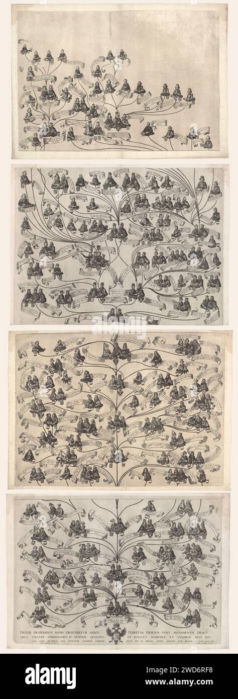 Family tree of the Habsburg House, Aegidius Sadeler (II), 1629 print ...