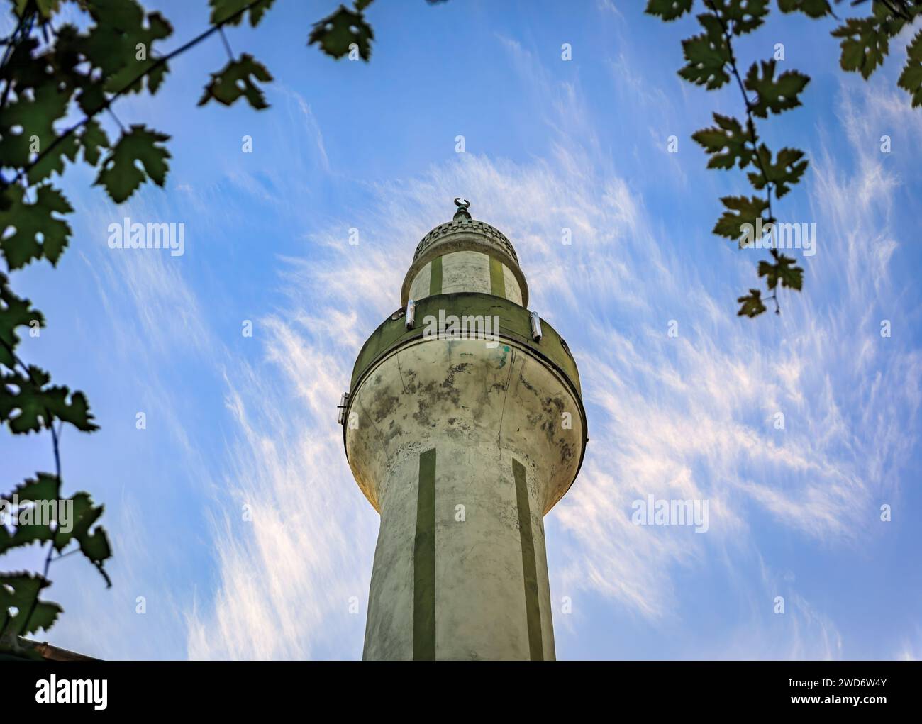 Tall minaret of the Hoca Pasa Cami Mosque framed by grape leaves in the ...