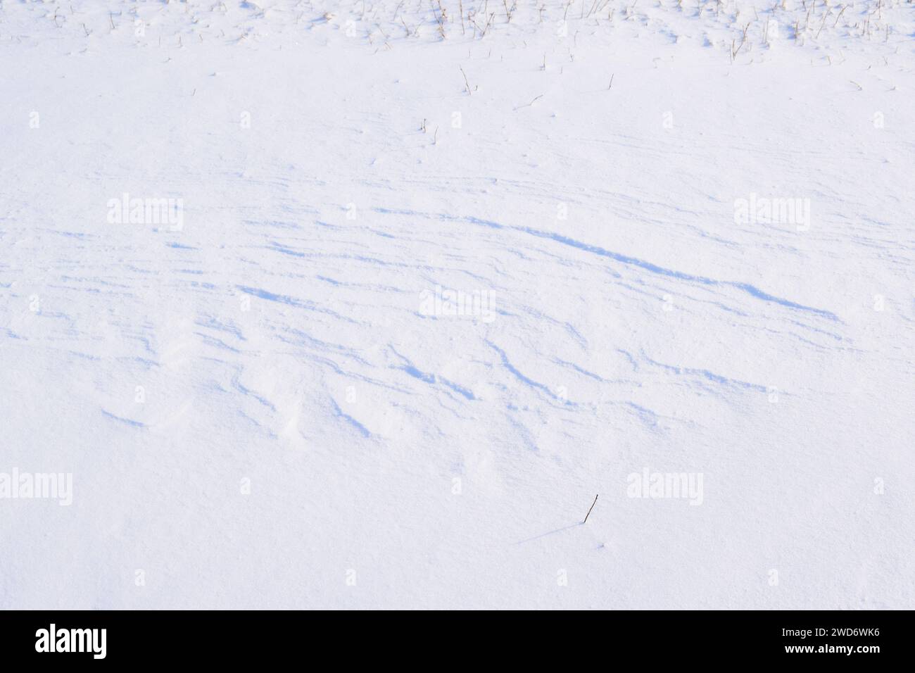 wind shaped fresh snow Stock Photo - Alamy