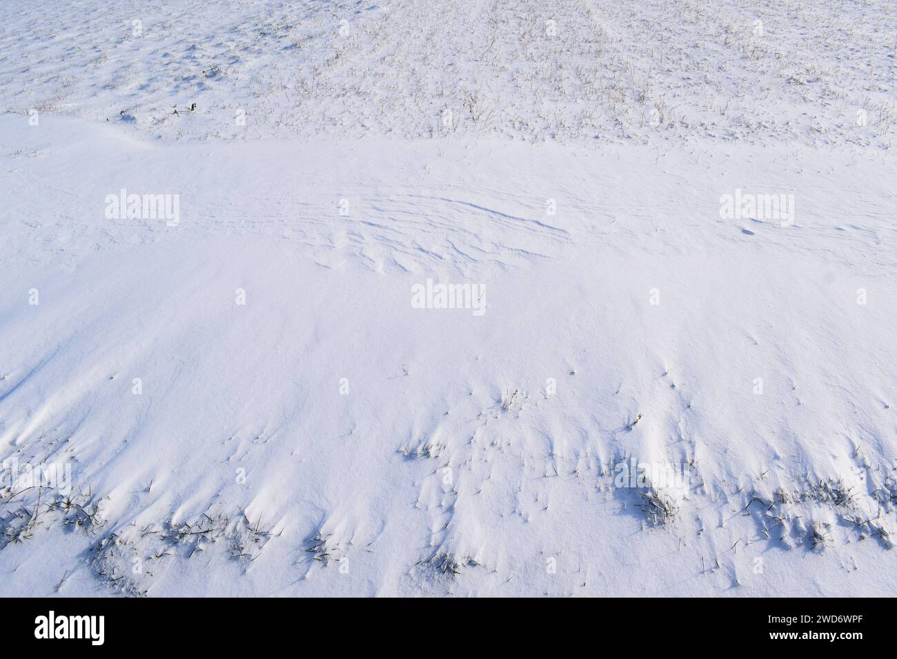 wind shaped fresh snow Stock Photo - Alamy
