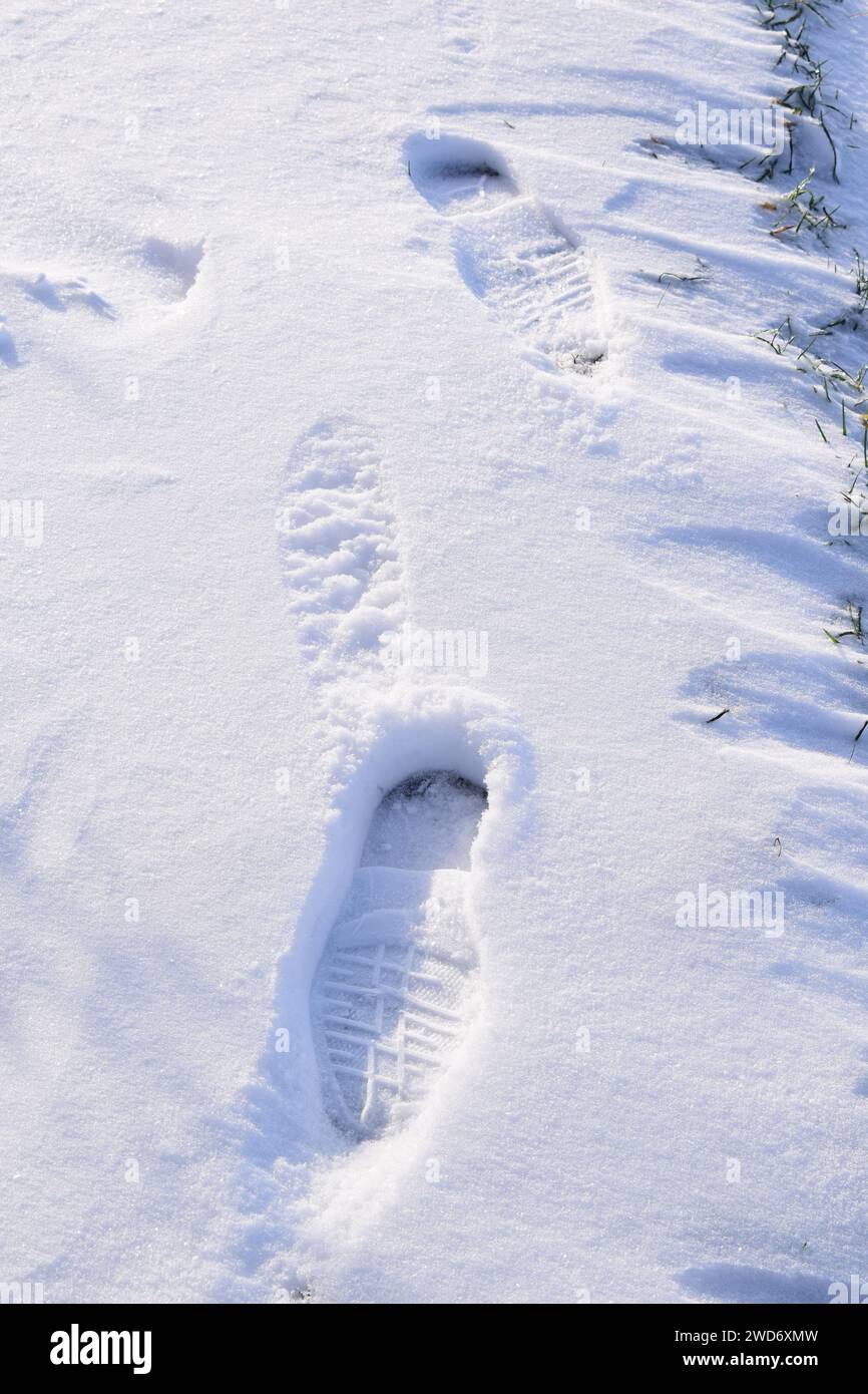 footprints in the snow Stock Photo - Alamy