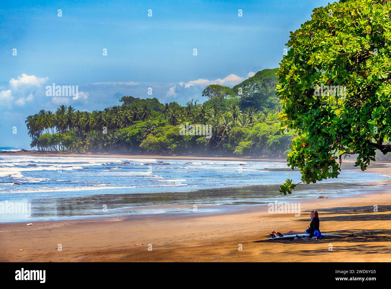 The rainforest meets the Pacific Ocean at Golfo Ducle (Sweet Gulf), Osa ...