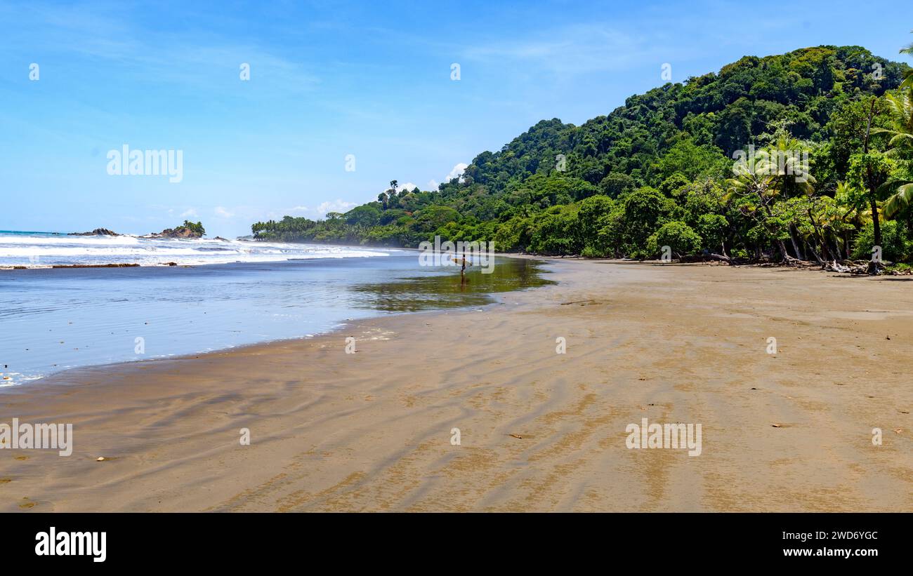 The rainforest meets the Pacific Ocean at Golfo Ducle (Sweet Gulf), Osa ...
