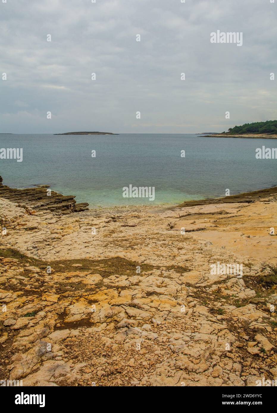 The rugged limestone landscape of the Kamenjak National Park on the ...