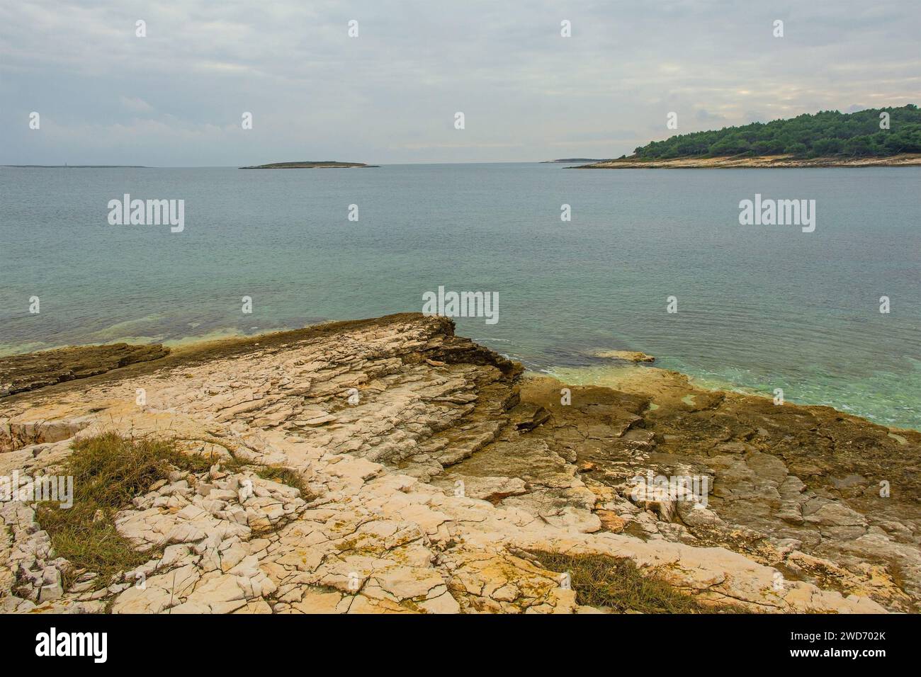 The rugged limestone landscape of the Kamenjak National Park on the ...