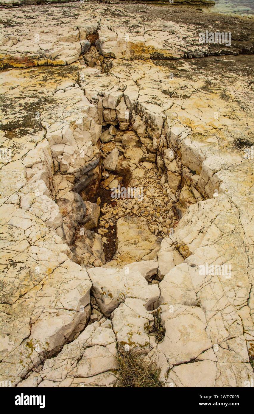 The rugged limestone landscape of the Kamenjak National Park on the ...