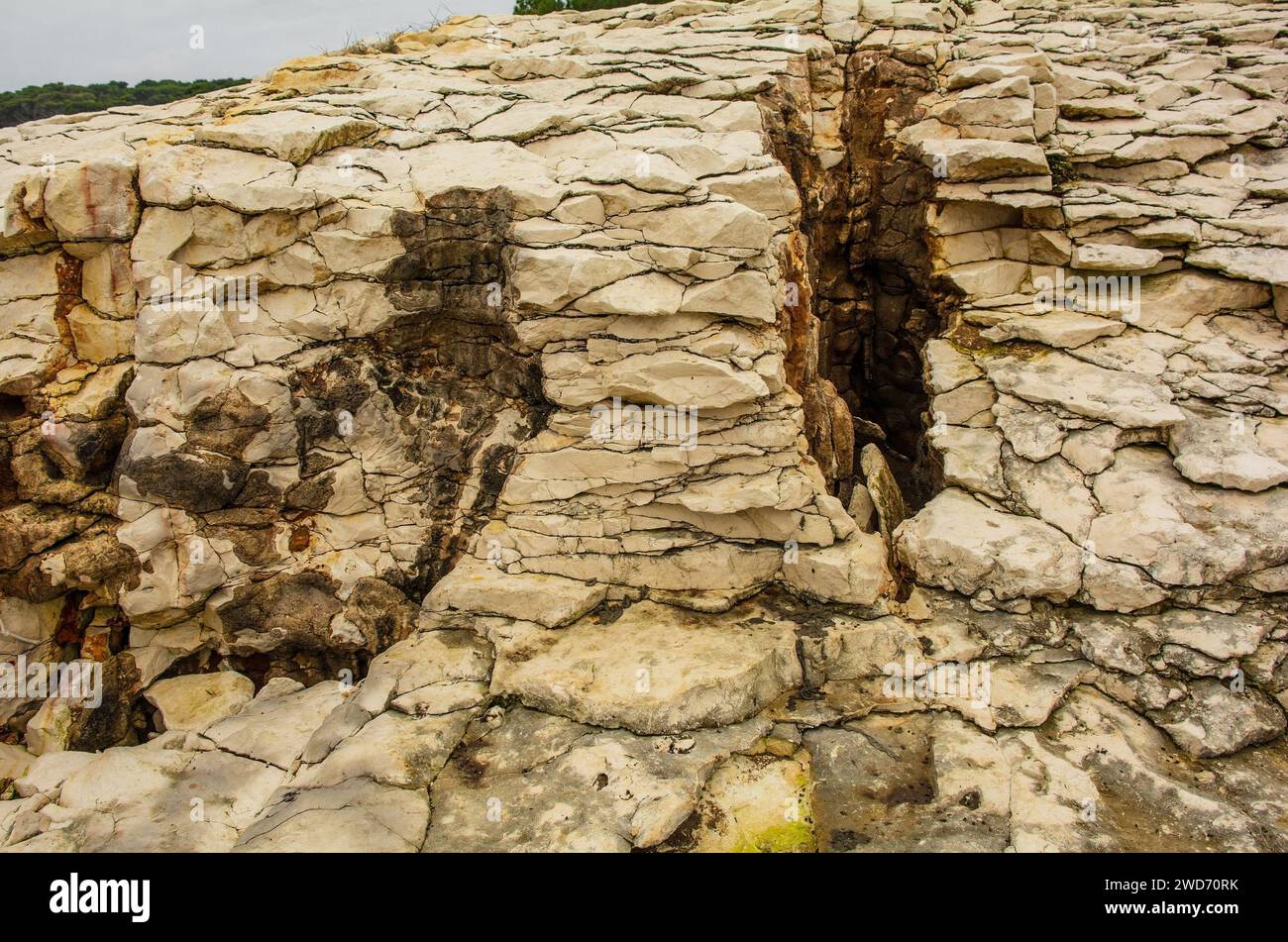 The rugged limestone landscape of the Kamenjak National Park on the ...