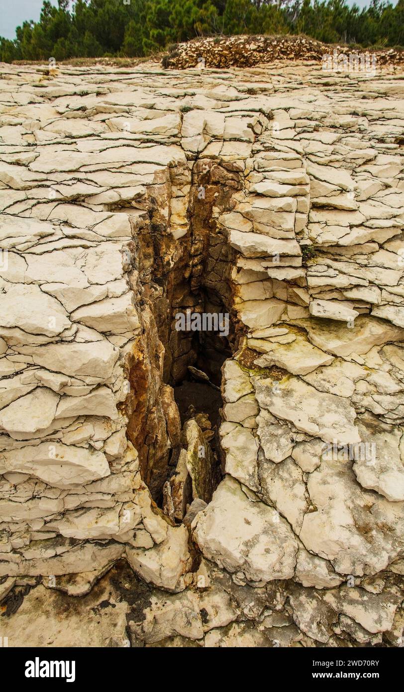 The rugged limestone landscape of the Kamenjak National Park on the ...