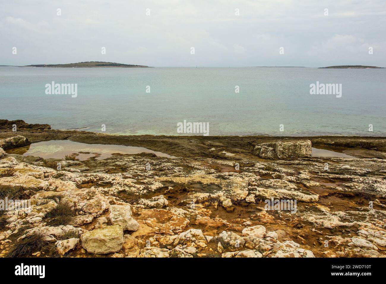 The rugged limestone landscape of the Kamenjak National Park on the ...