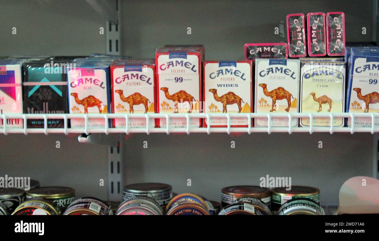 A shelf with packs of Camel cigarettes in the store Stock Photo - Alamy