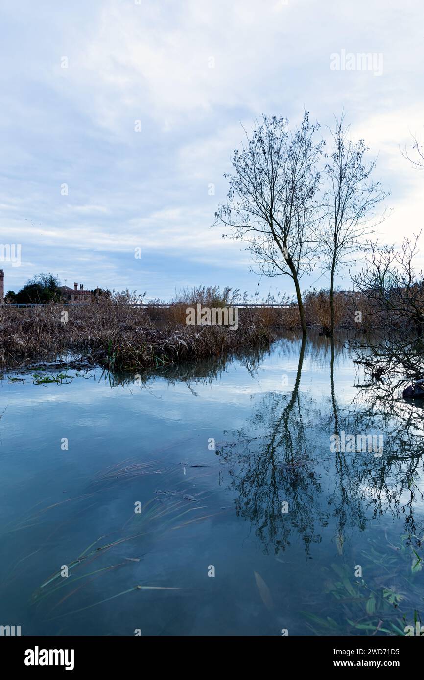 Wetlands venetian lagoon hi-res stock photography and images - Alamy