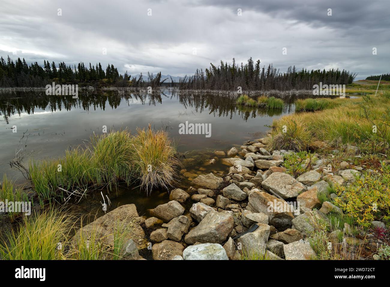 Kluane national park hi-res stock photography and images - Alamy