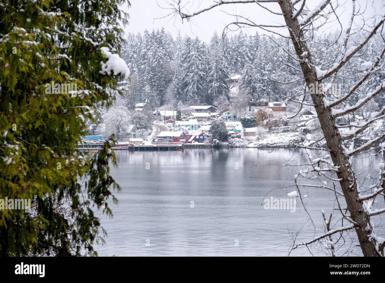 The snow-covered buildings at Fulford Harbour, Salt Spring Island, BC ...