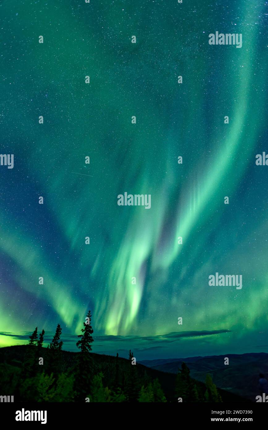 An awe-inspiring aurora borealis illuminating a night sky in Dawson ...