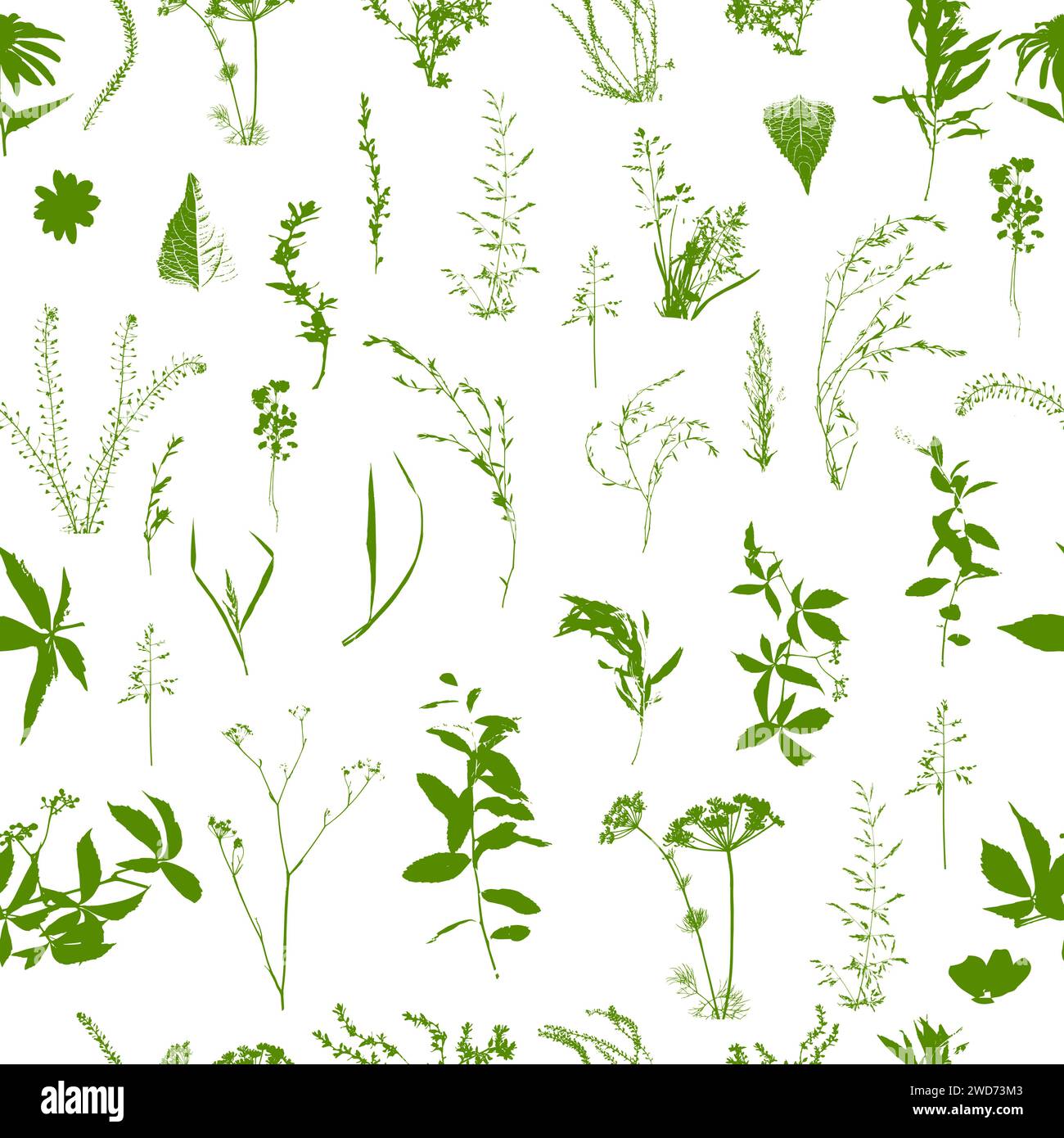 Seamless pattern of field grass. Hand drawing. Not AI. Vector ...