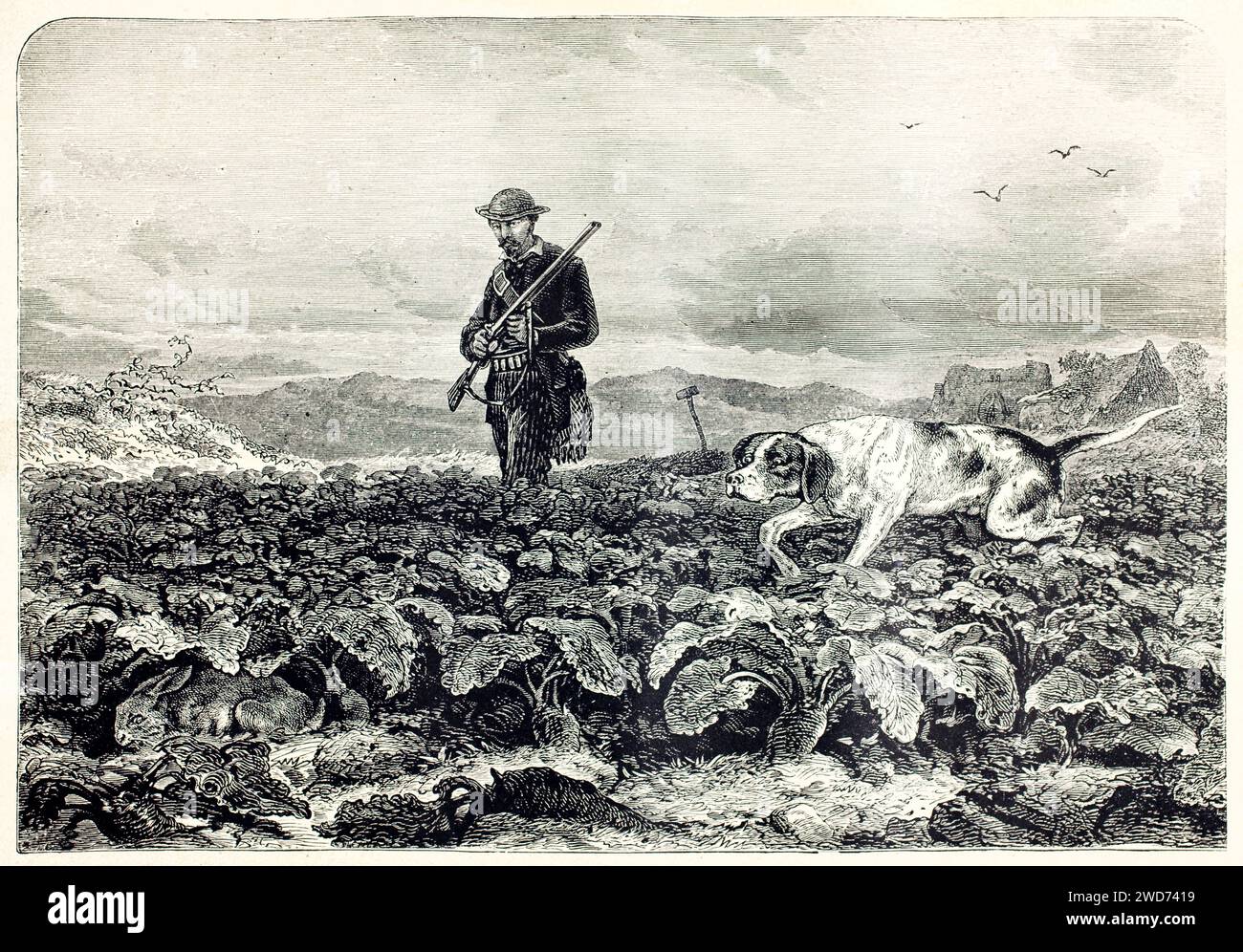 Old engraved illustration of a pointing dog and his master. Created by ...