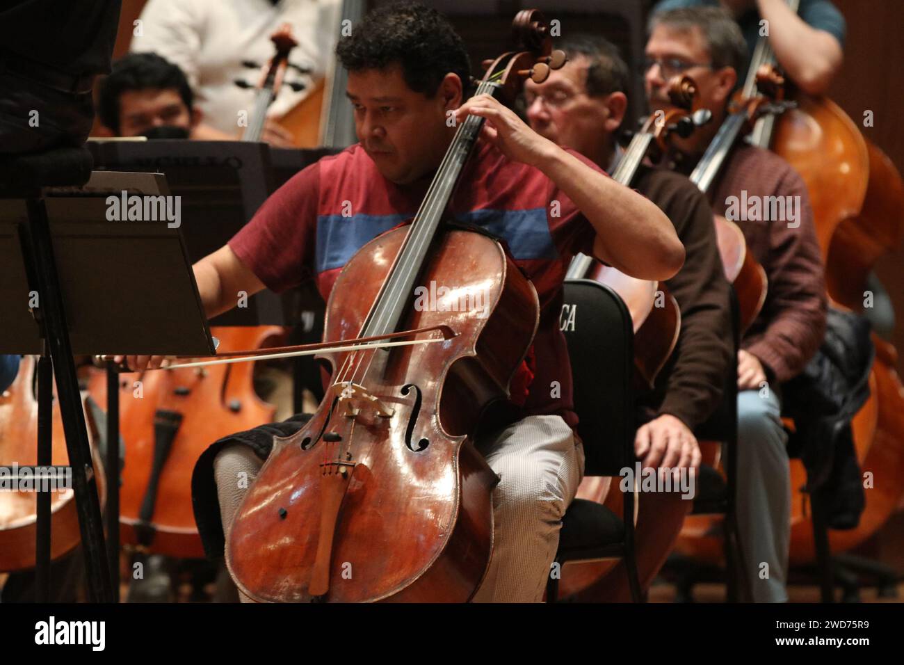 Silvestre revueltas room hi-res stock photography and images - Alamy