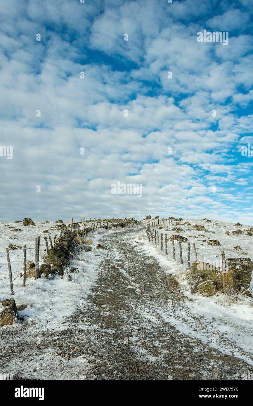 A snow-covered winter path with a rustic fence. Aubrac, France Stock ...
